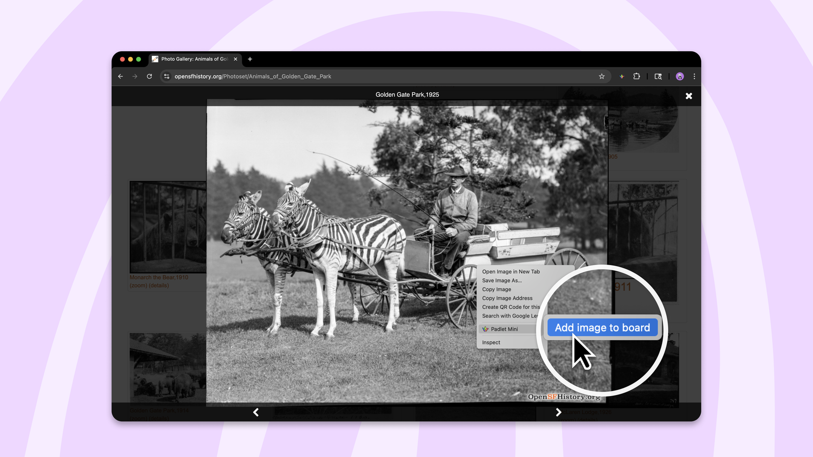 Padlet Mini: Save web content directly to boards